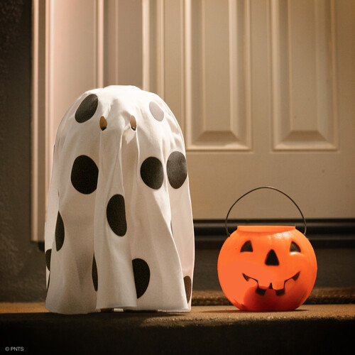 PEANUTS SUPERSIZE - CHARLIE BROWN (GHOST SHEET) Collectibles on ...