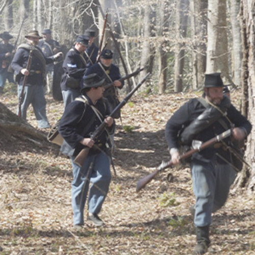 Hampton's Legion on Movies Unlimited