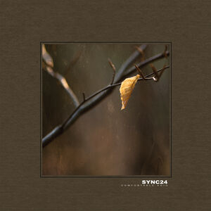 Sync24 Comfortable Void on DeepDiscount