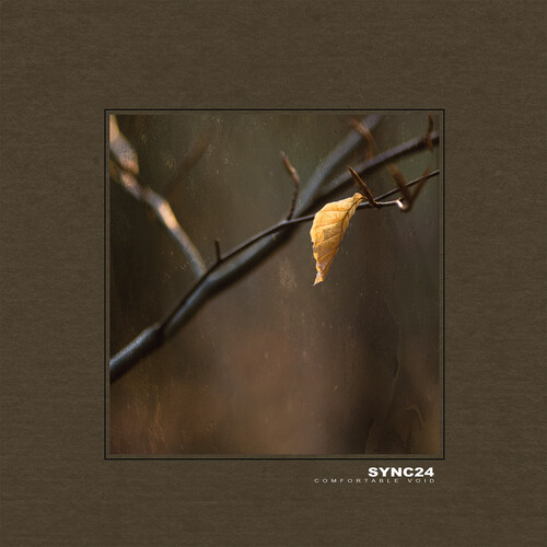 Sync24 Comfortable Void on DeepDiscount